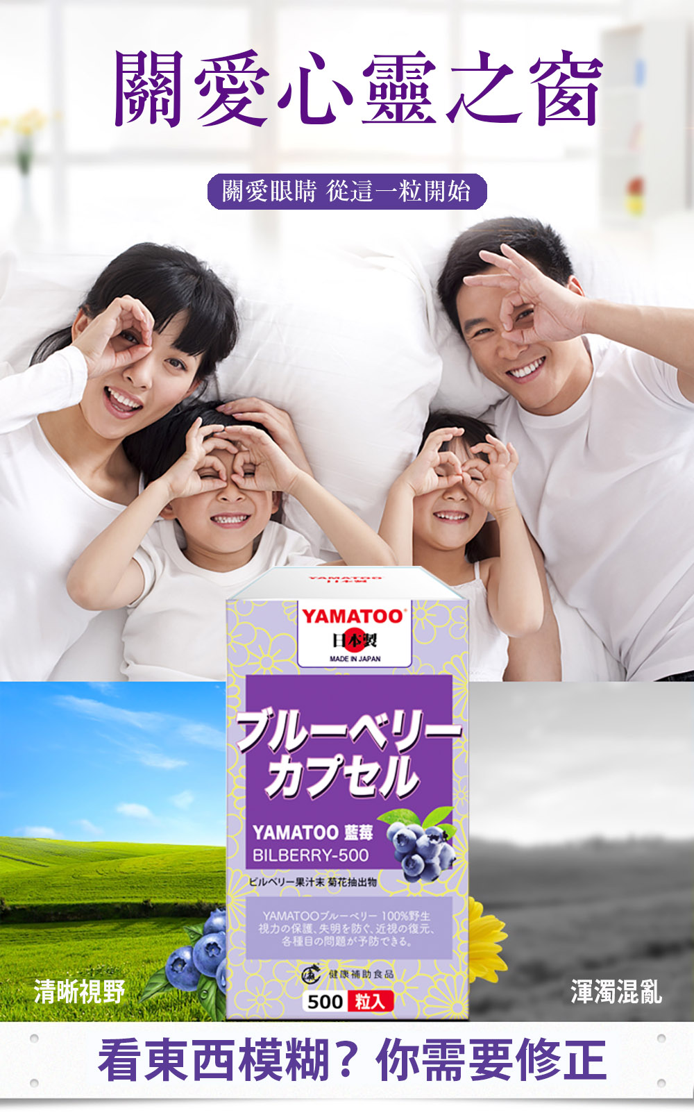 【YAMATOO】藍莓 長生きの果物ーーブルーベリー 500粒/瓶。 - YAMATOO健康食品